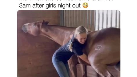 37 Best Monty Python Memes That Will Make You Say A Blessing From The