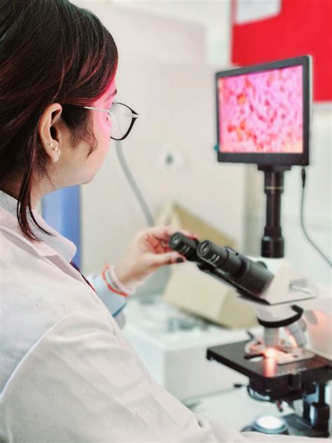 Isolation And Characterization Of Streptococcus Species A Microscopic