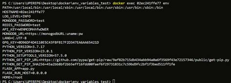 What Docker Environmental Variables Geeksforgeeks