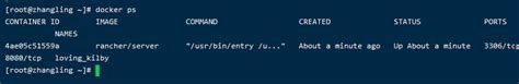 docker搭建rancher平台 知乎