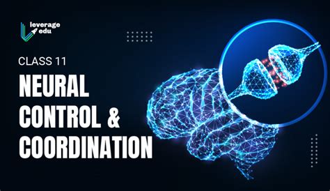 Courses After Bipc After Inter Bipc Courses List 2025