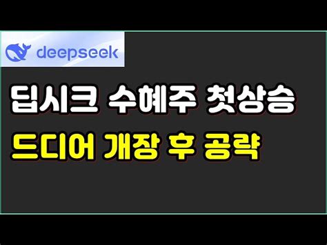 딥시크 관련주 첫상승