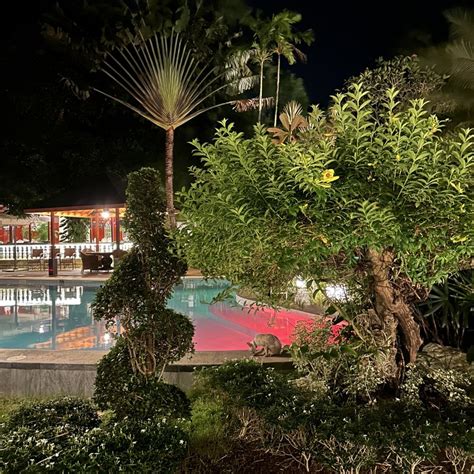 보라카이 마사지 보라카이 스파 헬리오스 스파 마사지 코코스파 허니스톤 스톤마사지 성장마사지 샤워가능 마이리얼트립