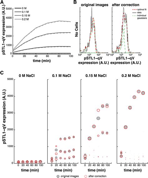Effect Of Vignetting Correction On The Analysis Of Gene Expression