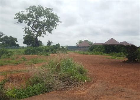 Ogbunike Cave Tortoisepath Nigeria 🇳🇬