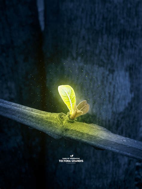 Glow Effect On Instagram Guides Glow Effect Instagram Guide Photoshop