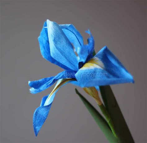 how to make paper iris flower free template and full video paper