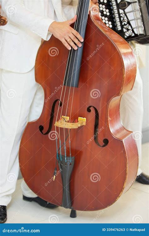 Stringed Musical Instrument Double Bass Stock Image Image Of