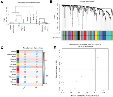 Wgcna Of Irgs In Pd A Merging Of Modules Through Dynamic Cutting Tree