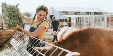 What You Should Do With Your Life Per Numerology YourTango