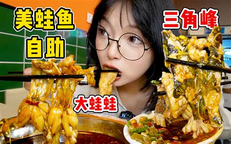 没吃饱的一顿美蛙鱼自助 今日mvp：豇豆稀饭！ 吃货圆圈圈 吃货圆圈圈 哔哩哔哩视频