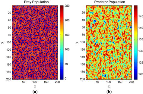 Left Panel Hopfturing Spatial Pattern Right Panel The Spatial