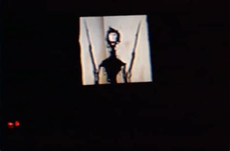 Toe Analog Horror Wiki Fandom