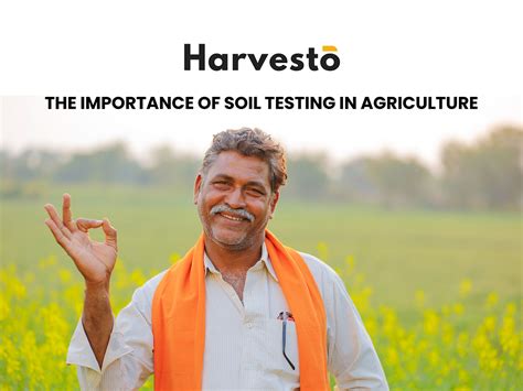 The Importance Of Soil Testing In Agriculture