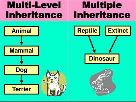 Section 91 Introduction Ppt Download Section 91 Introduction Ppt Download