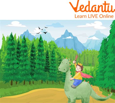 Coniferous Trees Definition Features And Examples Explained