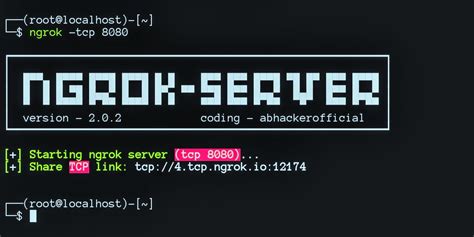 Github Abhackerofficialngrok Server Ngrok Server Allow You To