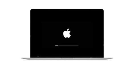 How To Fix Common Mac Startup Problems BoticaSoft