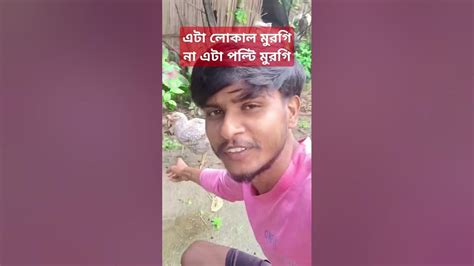এটা লোকাল মুরগি না এটা পল্টি মুরগি। Youtube
