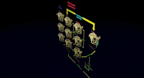 Pelvis Fracture Classifications 3d Model Superhive Formerly Blender