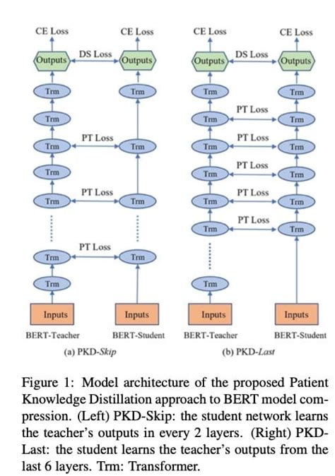 Innovative BERT Knowledge Distillation Papers That Have Changed The Landscape Of NLP KDnuggets