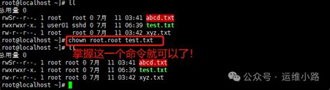 Linux权限 Chown命令 腾讯云开发者社区 腾讯云 Linux权限 Chown命令 腾讯云开发者社区 腾讯云