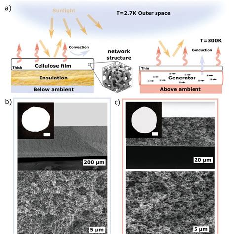 Optical Properties Of The Cellulose‐based Radiative Cooling Films In Download Scientific