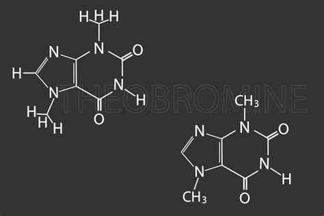 Theobromine Molecular Skeletal Chemical Formula 39549264 Vector Art At