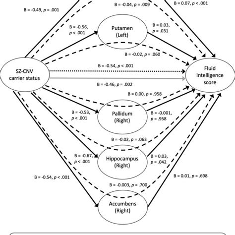 Results From The Mediation Analysis Of Brain Volume Over The