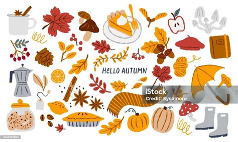 다양하고 귀엽고 아늑한 가을 요소 손으로 그린 벡터 그림입니다 모든 요소가 격리됩니다 가을에 대한 스톡 벡터 아트 및 기타 이미지 가을 벡터 디자인 요소 Istock