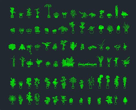 Plant Elevation Cad Block