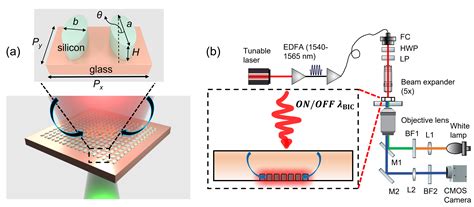 New Insights In Optofluidics The Power Of Dielectric Metasurfaces In Fluidic Control And Beyond