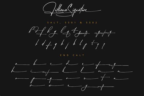 Lilliana Signature Classy Handwritten Script Font Font Kong
