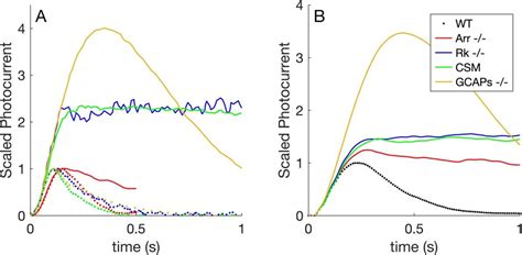 A Hybrid Stochasticdeterministic Model Of Single Photon Response And Light Adaptation In Mouse