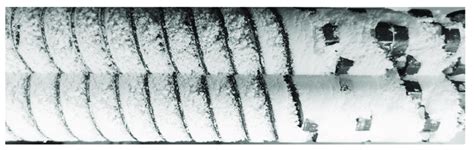 Photo Showing A Wet Twin Screw Granulation Tsg Wet Of Download