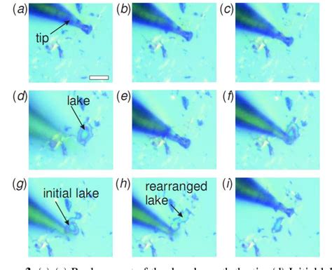 Figure 3 From Applications Of Atomic Force Microscope Manipulator