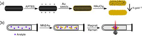 A Schematic Representation Of The Synthesis Procedure Starting With Download Scientific