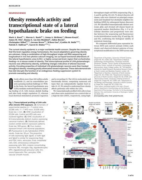 PDF NEUROSCIENCE Throughput Single Cell RNA Sequencing Fig NEUROSCIENCE Obesity
