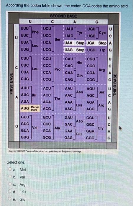 Solved Q#1 according the codon table shown, the codon cga | Chegg.com