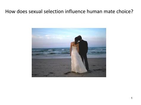 PPT How Does Sexual Selection Influence Human Mate Choice PowerPoint Presentation ID 378156