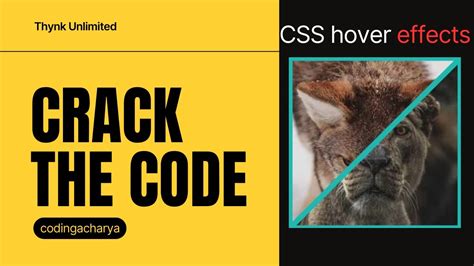 Css Hover Effects Youtube