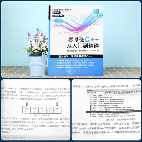 c 适合多大的孩子学