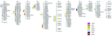 Qtl Mapping Associated With Salinity Tolerance In The Cndh Population