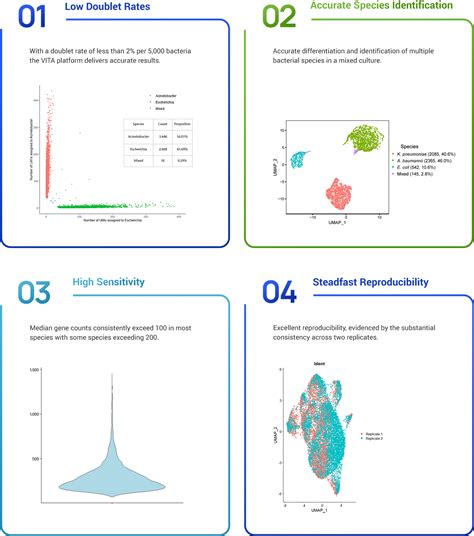 Single Cell Transcriptome For Cultured Bacterial Samples M20 Genomics