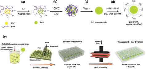 experimental scheme for the synthesis of zns sio2‐nh2 core shell download scientific diagram