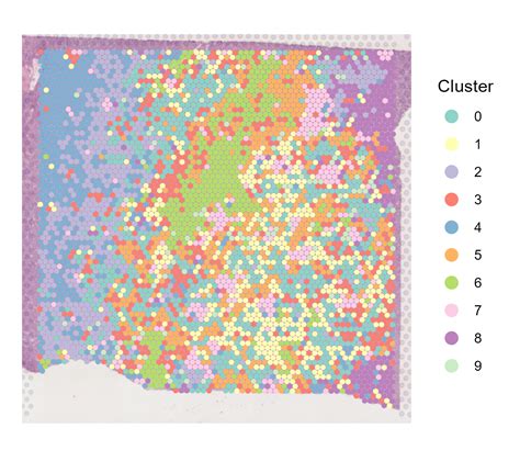 6 Stey By Step St Seq Pipeline Hemascope Tutorial