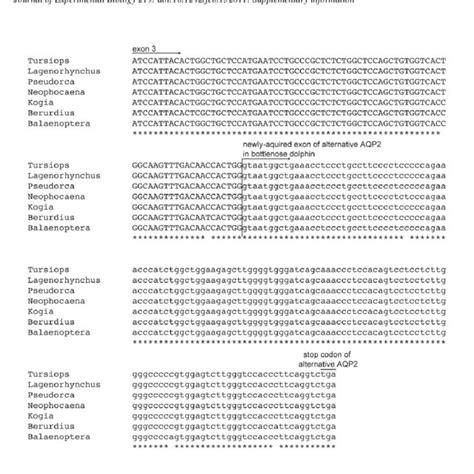Fig S DNA Sequence Alignment Of The Region Through Exon To The