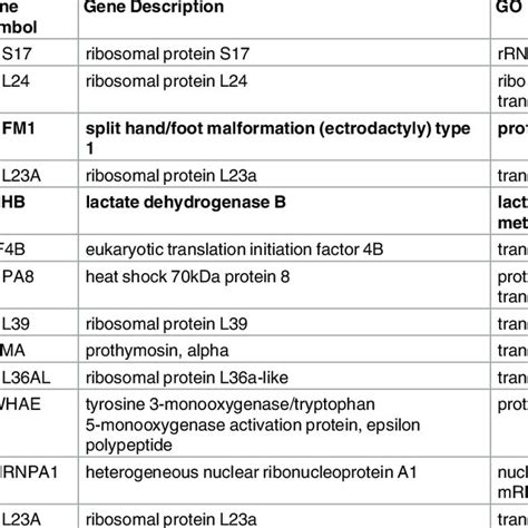 Histopathologic Nlphl Variants According To Fan Et Al A Pattern A B Download Scientific
