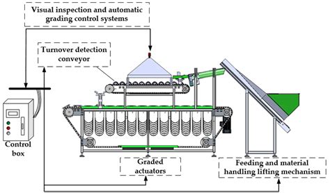 Structure Of The Automatic Apple Grader Download Scientific Diagram