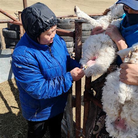 Дархан Уул Дархан Уул аймгийн Мал эмнэлгийн газар